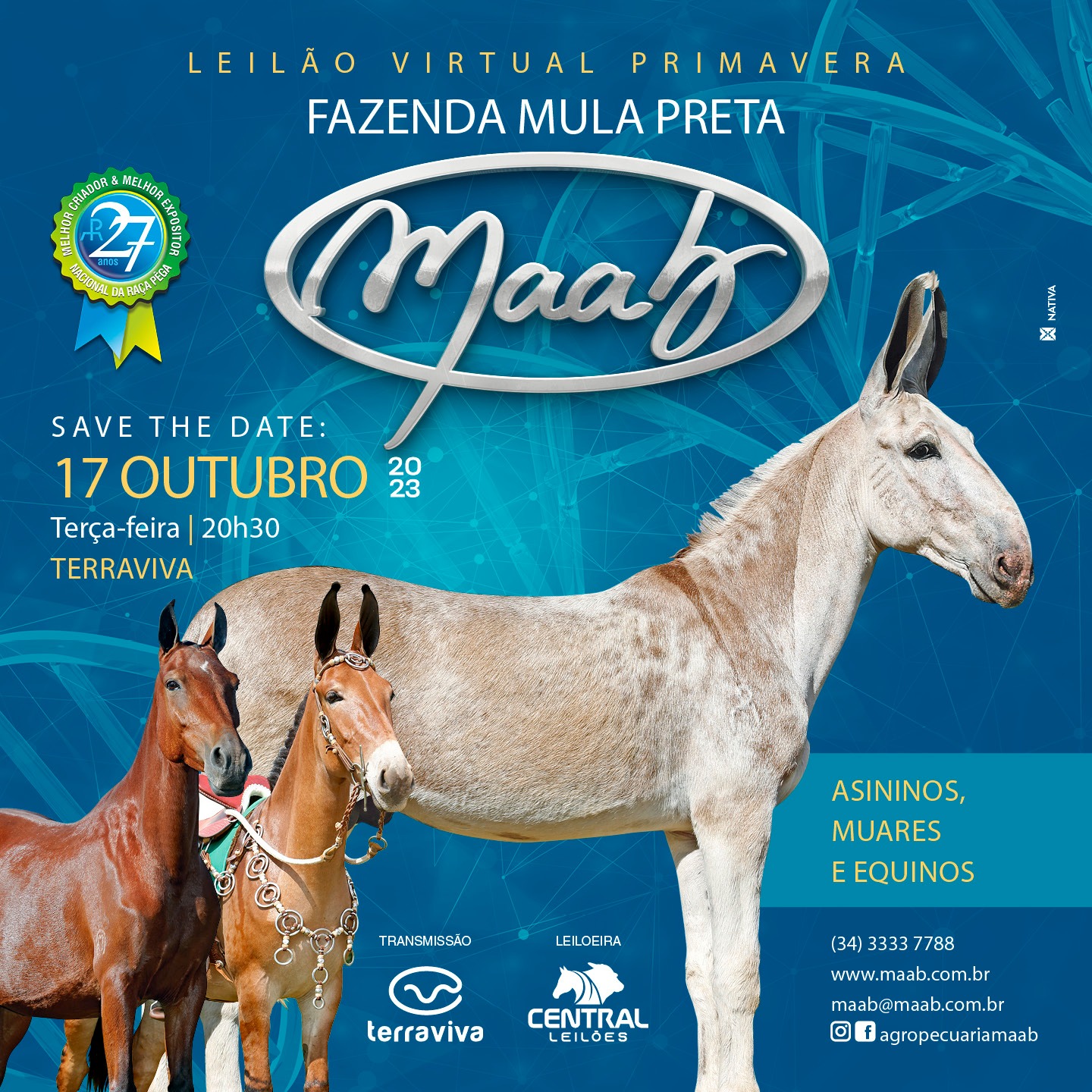 LEILÃO VIRTUAL PRIMAVERA MAAB FAZENDA MULA PRETA - Central Leiles